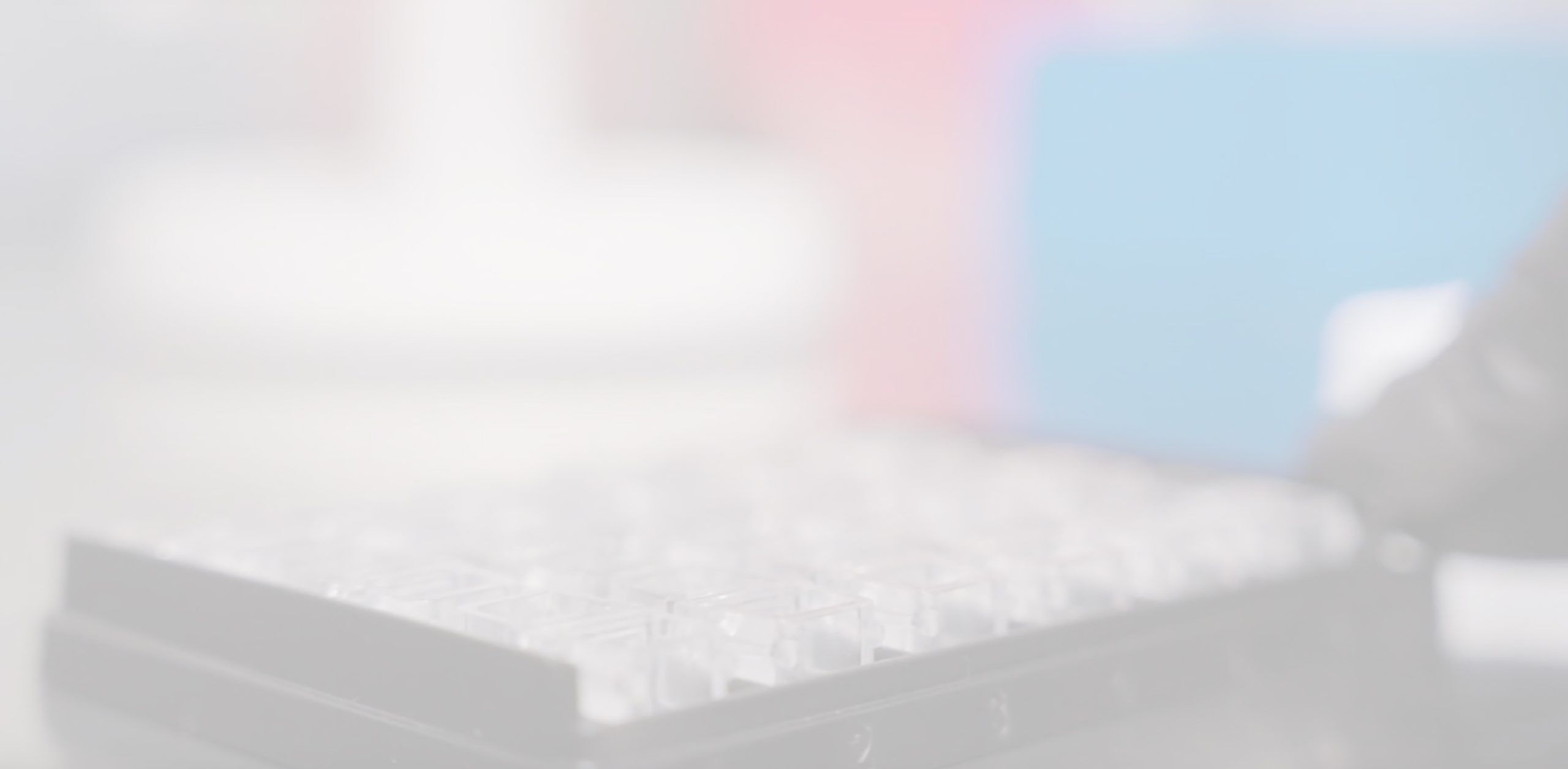 Homepage New - Cerillo